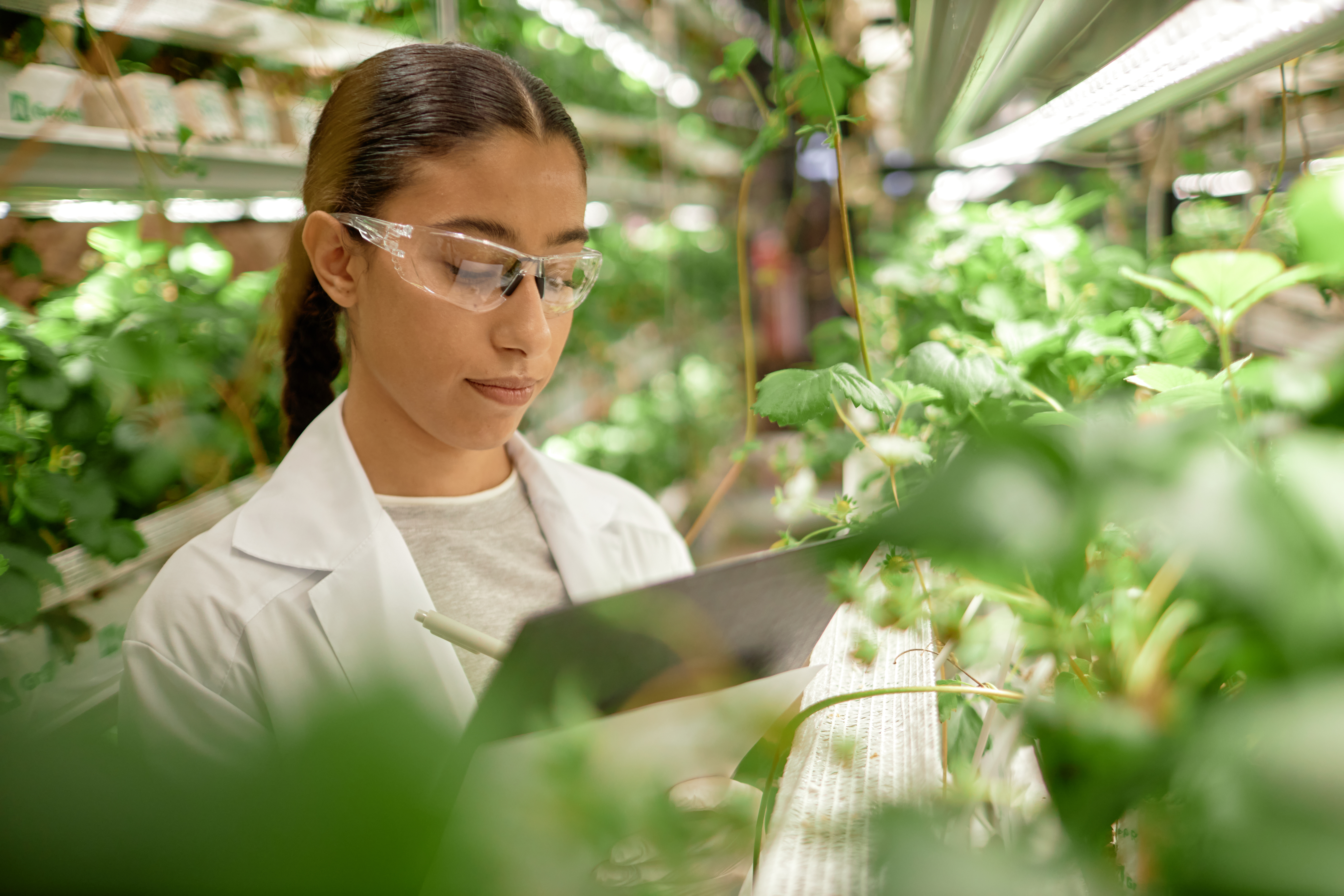 MHRA pro-innovation vision points to bright life sciences future for UK